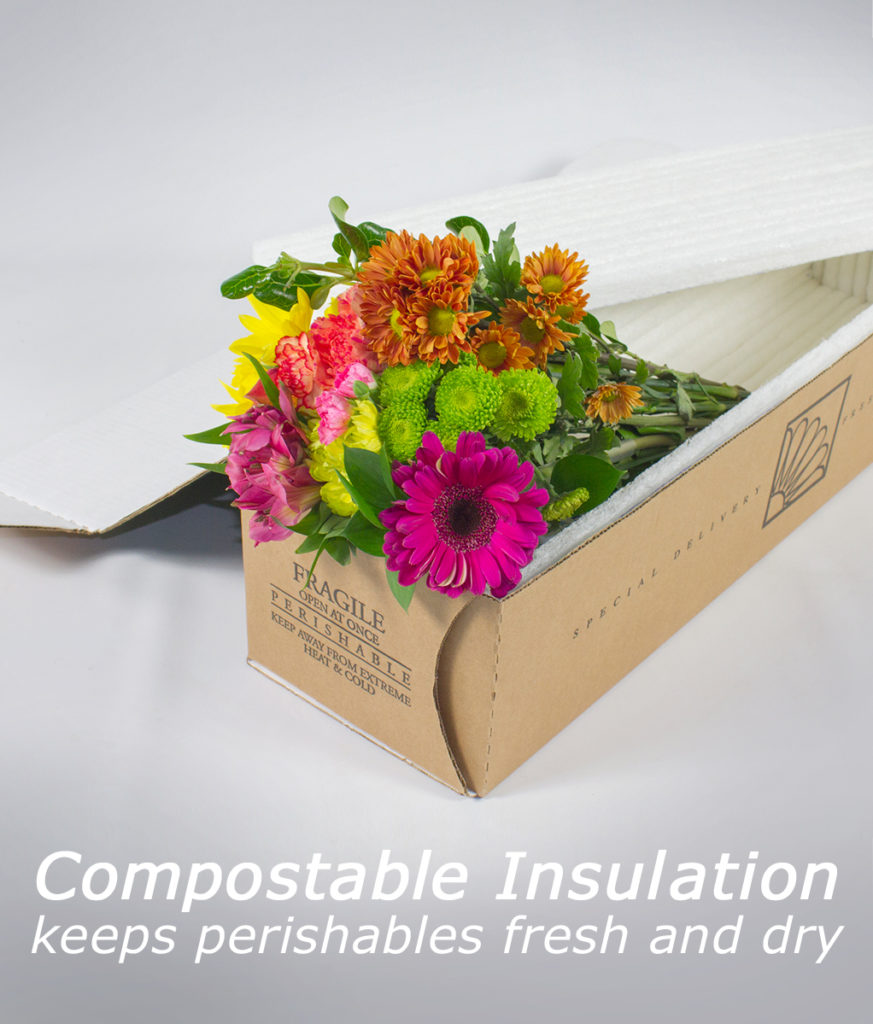 Custom Boxes - Die Cuts, Thicknessess & Sizes | Nature-Pack™ Recyclable ...